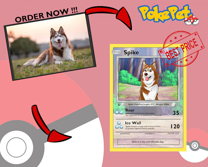 Change your perfect moment become pokepet style by Alwiach | Fiverr