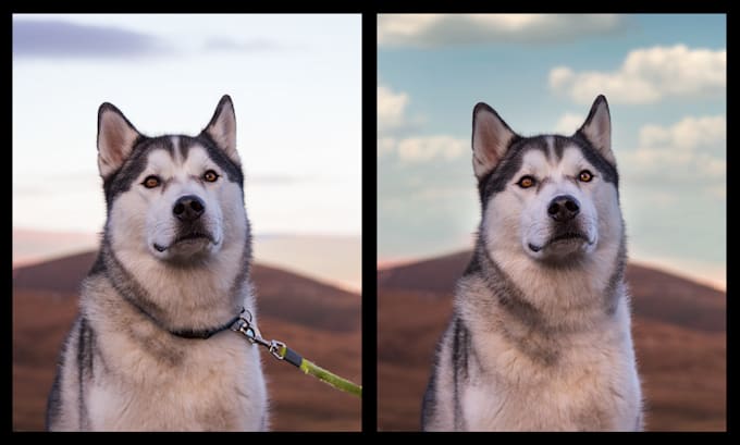 Fix the colors of your photo by Danieloakfield | Fiverr