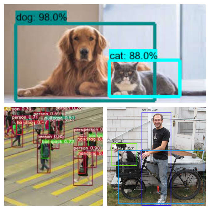 Make A Custom Object Detection Model For You By Samarth5854 Fiverr
