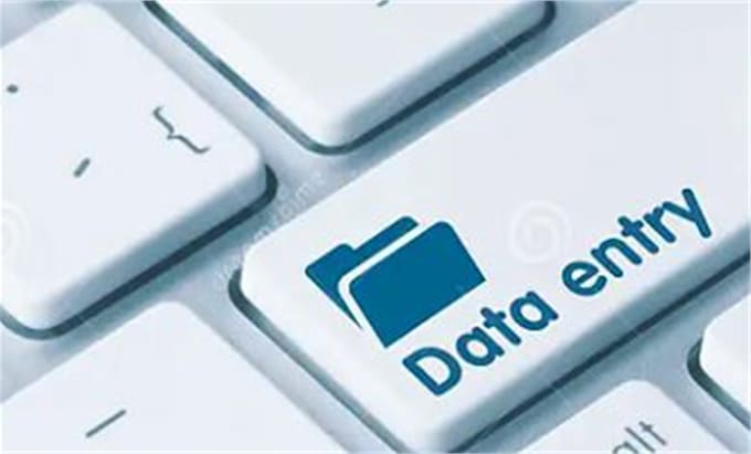 Data entry work retyping typing by Hillbriztesting | Fiverr