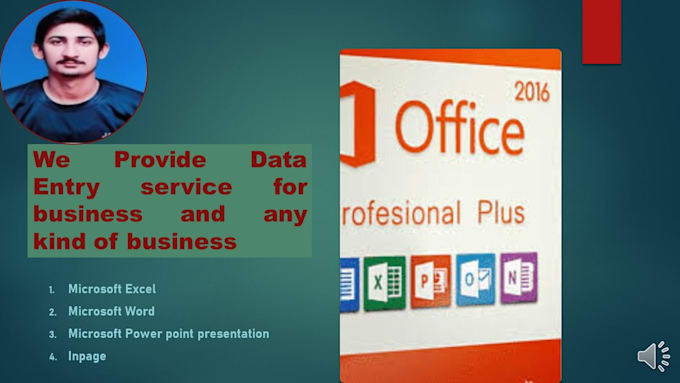 Provide professional data entry in ms office with accuracy by Moharvi ...
