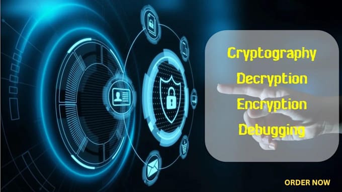 Do Cryptography Encryption And Network Security Projects By Kemikali