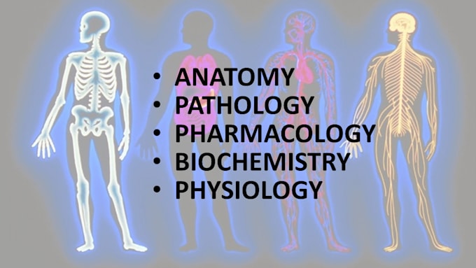 Assist you in anatomy, physiology, and biochemistry by Dr_shaistaqadir ...