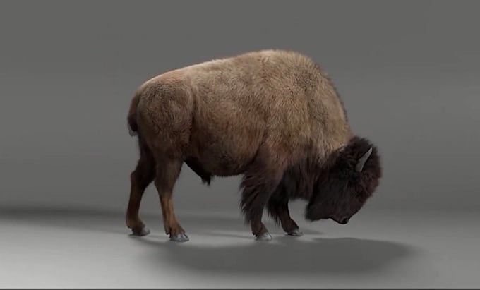 Create 3d animal character model,3d creature, realistic fur hair xgen ...