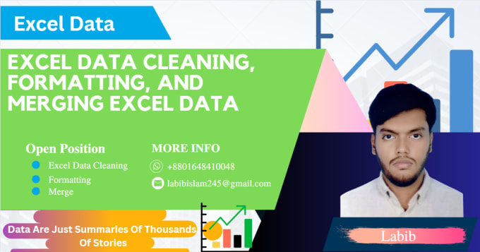 Do excel data cleaning, formatting, and merging excel data by Labib55 ... Do excel data cleaning, formatting, and merging excel data by Labib55 ...