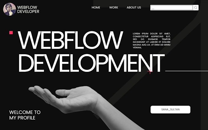 Design, redesign, fix issues in webflow website by Sana_sultan | Fiverr Design, redesign, fix issues in webflow website by Sana_sultan | Fiverr