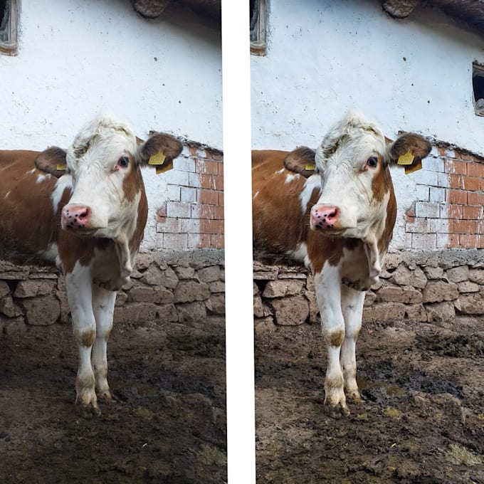 Can edit your low quality photos by Eneskocalan | Fiverr