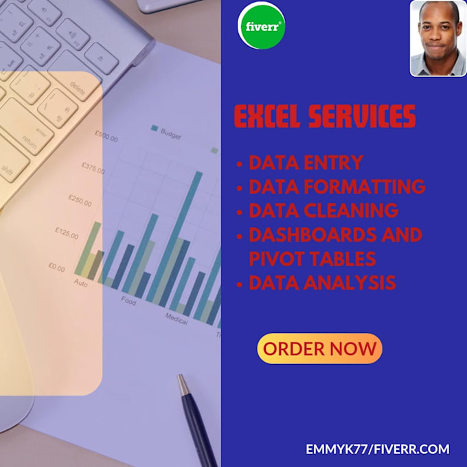 Do Excel Data Entry Cleaning Sorting And Visualization By Emmyk77 Fiverr