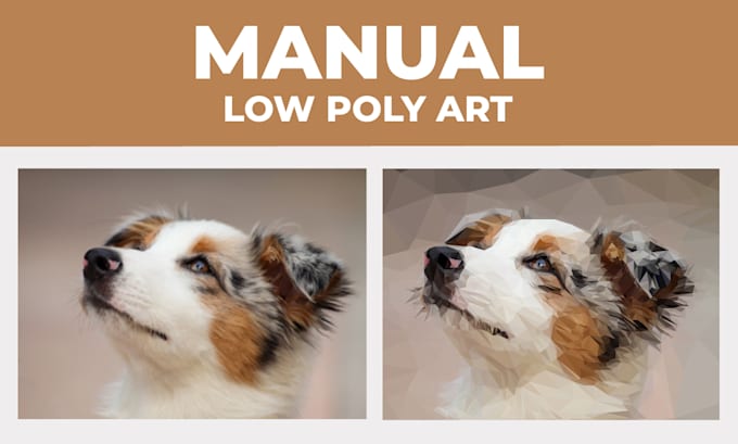 Draw a low poly illustration for you by Houria1 | Fiverr