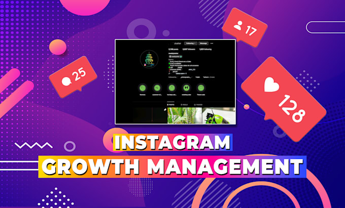 Manage marketing and instagram growth to promote to grow followers ...