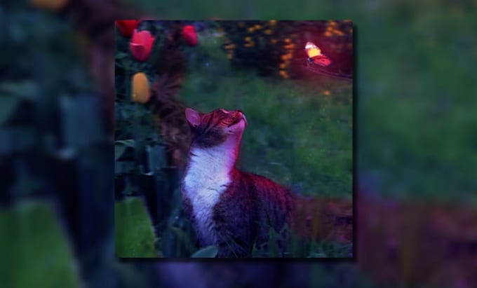 Do high high quality photoshop digital imagine by Hans_kun | Fiverr