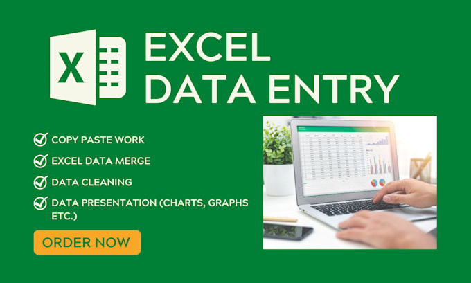 Do excel data entry and cleaning, copy paste, pdf to excel by Rehan_dev87 | Fiverr