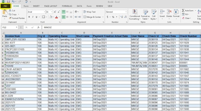Do excel work data entry and office work or salary sheet by ...