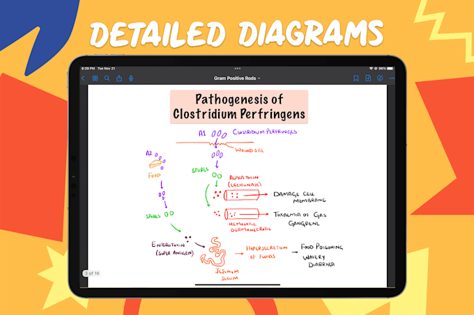 Create scientific diagrams, illustrations and figures by Ahmed_iqbal7 ...
