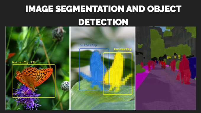 Train custom object detection with yolov8 by Grayorb | Fiverr Train custom object detection with yolov8 by Grayorb | Fiverr