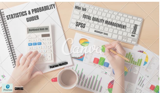 Be your statistical expert, data analysis, r, spss, python, power bi, excel by Farwamalik990 ...