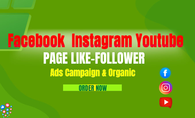 Grow your page likes and followers with fb paid ads by Rifatroshni | Fiverr