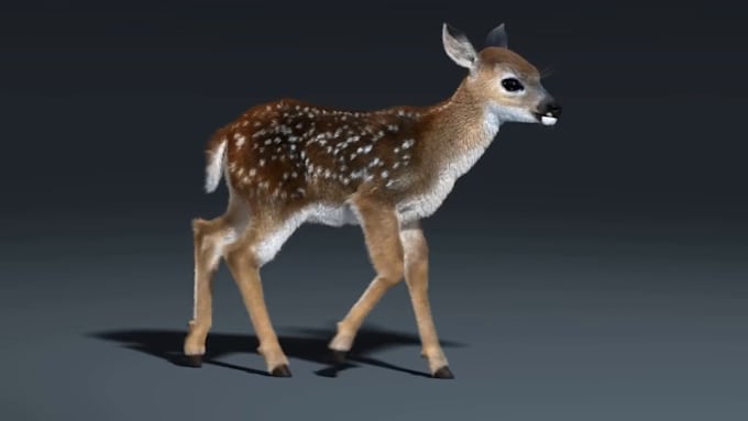 3d model animal animation, realistic fur, xgen hair rigging stl ...