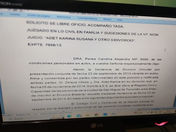 Entrada de datos base de datos by Carolina_1986 | Fiverr