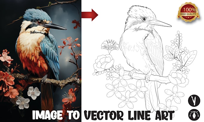 Draw image to vector line art in illustration style by Neizuislam | Fiverr