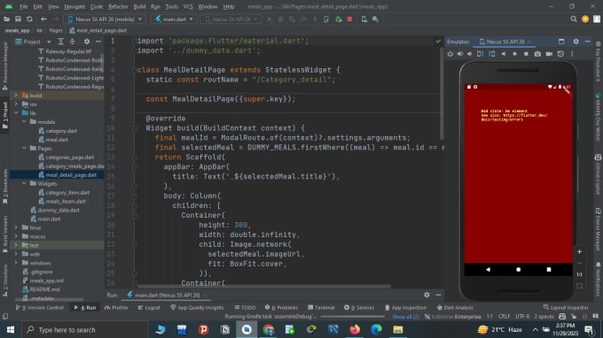 Fix bugs and errors in flutter mobile app just inner one day by ...