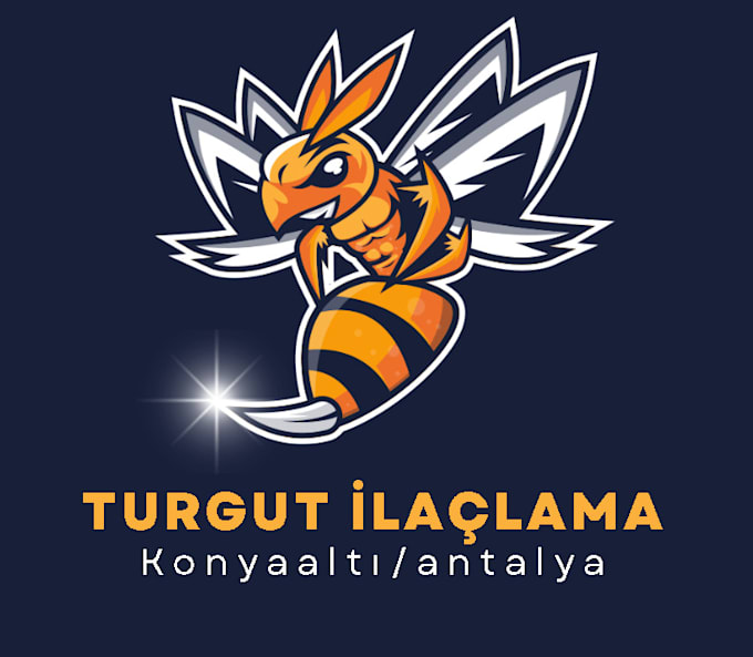 Minimalist logo tasarim grafik by Emresurfcaster | Fiverr