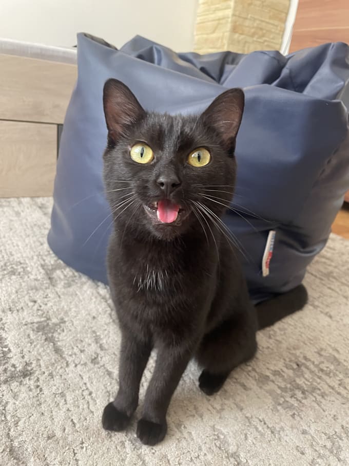 Cut fortnite montage and and so on by Pukyy_ | Fiverr