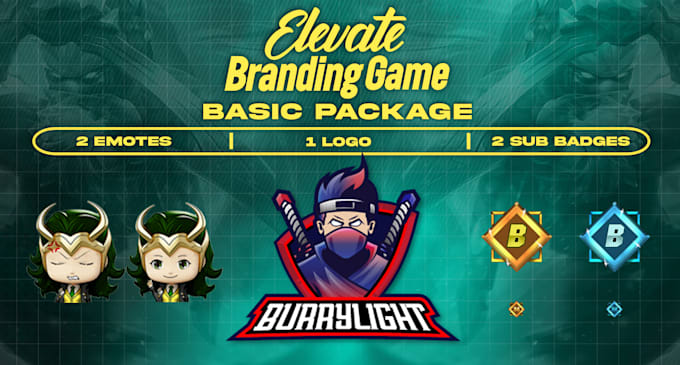 Make custom overlay, logo and banner by Tunnelvisio | Fiverr