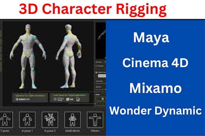Do 3d character model, stylized character rigging in blender by John_000978 | Fiverr