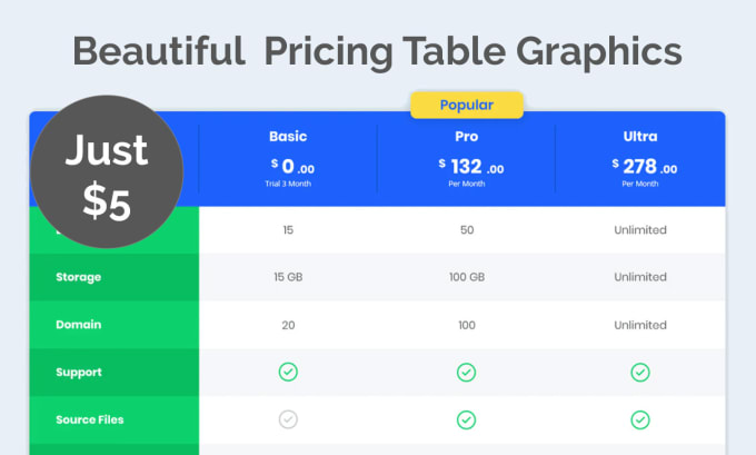Create a beautiful custom pricing table graphic by Ewanlumsden | Fiverr Create a beautiful custom pricing table graphic by Ewanlumsden | Fiverr