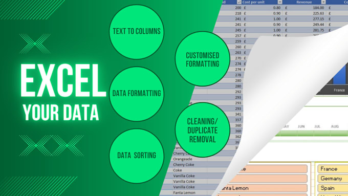 Do excel data formatting by Carol_coombs | Fiverr