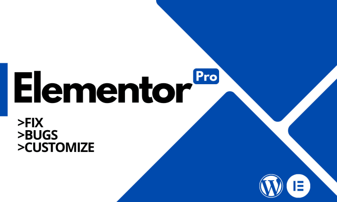 Fix elementor pro website issues by Nivelsurstudio | Fiverr Fix elementor pro website issues by Nivelsurstudio | Fiverr