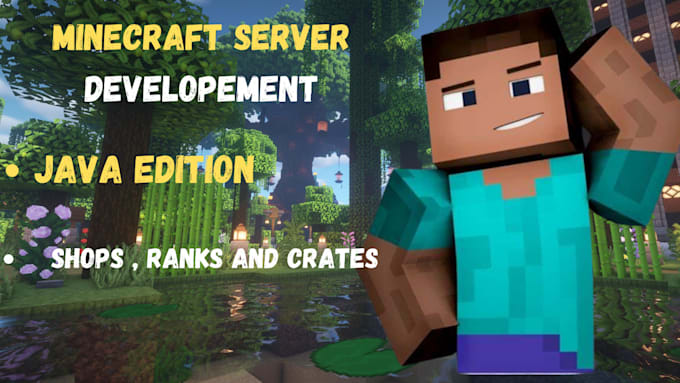 Develop a minecraft server for you with all necessities by Kani_coder ...
