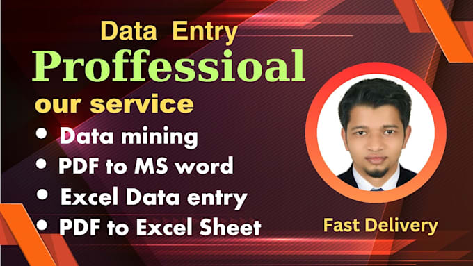 Provide professionsl excel data entry and web research by Khan1851 | Fiverr