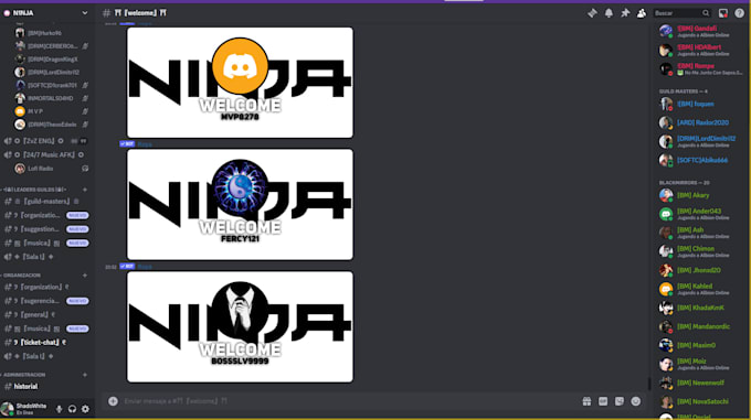Design a beautiful discord server according to user needs by ...