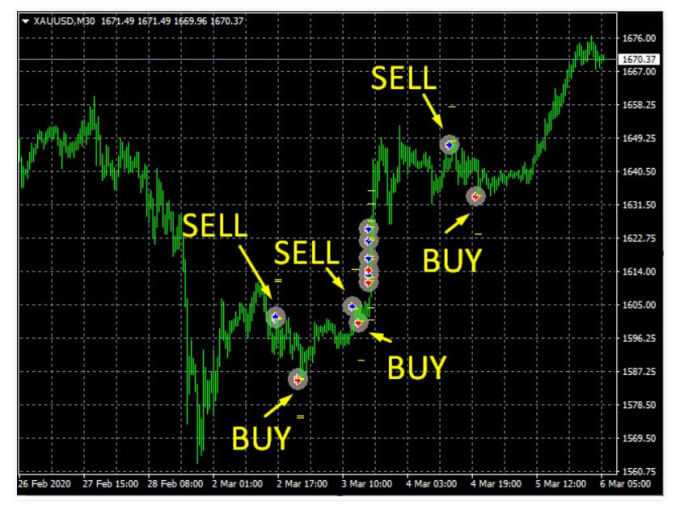 Help you install and build a profitable forex ea bot, forex trading bot ... Help you install and build a profitable forex ea bot, forex trading bot ...