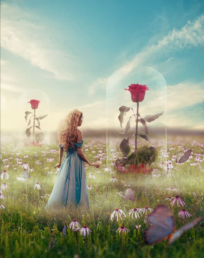 Do photoshop manipulation art by Emily_ps | Fiverr