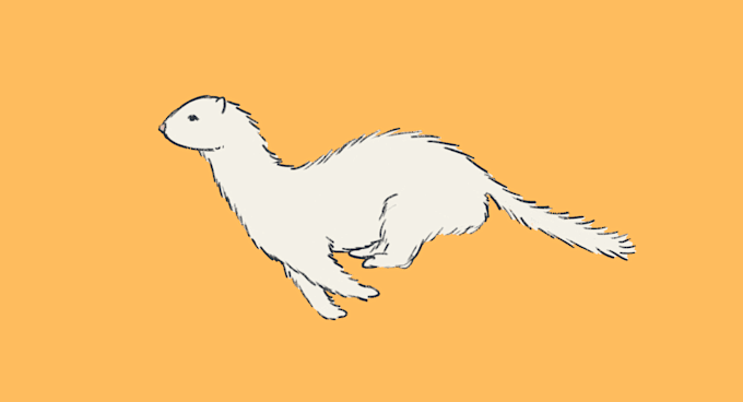 Animate a 2d animal walk cycle by Demimathot | Fiverr