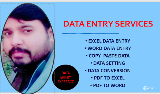 Data entry retyping data formating data conversion pdf to excel, word by Kaleemazhar | Fiverr