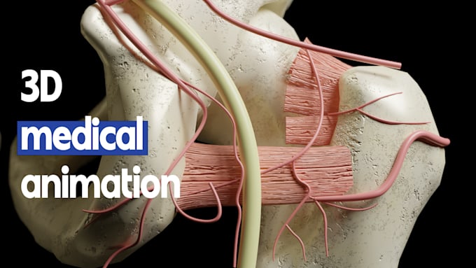 Create high quality 3d medical animation and models by Hamza37102 | Fiverr