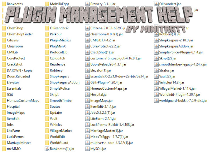 Setup your minecraft server and plugins professionally by Craftyisagod | Fiverr