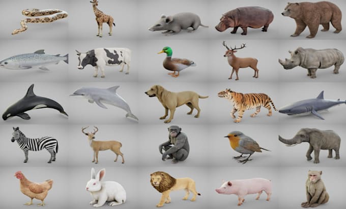 Create realistic lifelike 3d animal models, xgen hair, animal animation ...