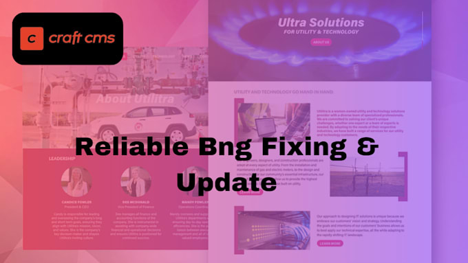 Do bug fixes, ecommerce website, update and craft website on your craft ...