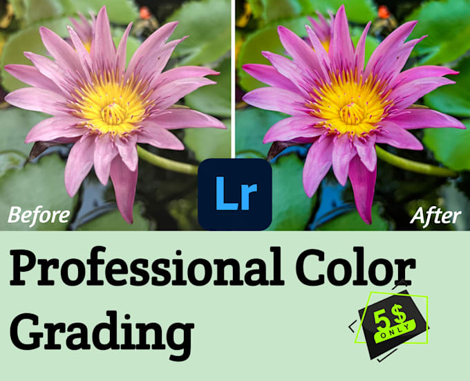 Enhance your images, expert photo color grading by Rizon_hanz | Fiverr