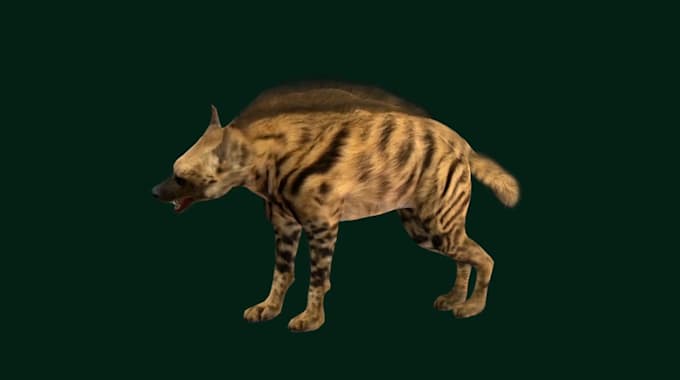 Create realistic 3d animal model, 3d animal animation, 3d character ...