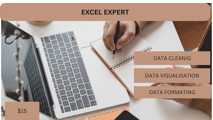 Do data cleaning, data formatting by Mohd_tausif9120 | Fiverr