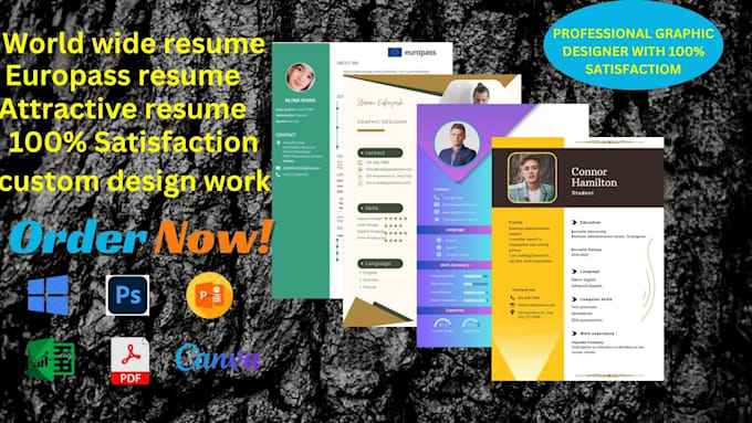 Create attractive cv design or shiny curriculum vitae in limited time ...