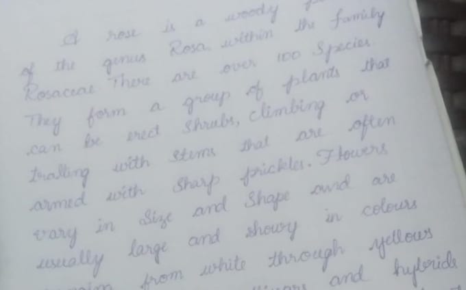 Write beautiful and impressive handwriting by Asiasultanabaig | Fiverr