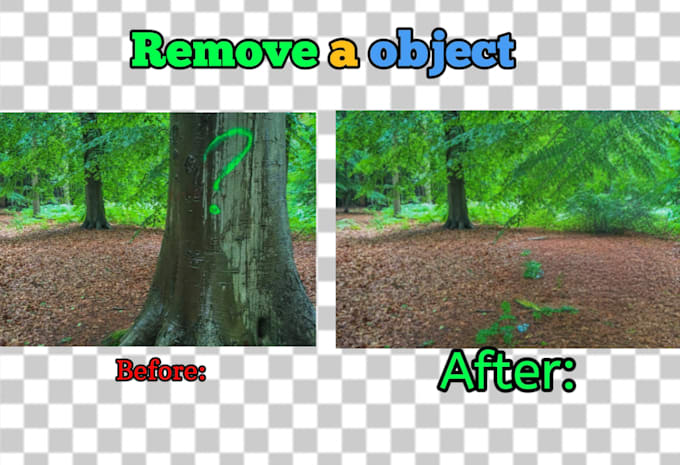 Remove a object in your image by Maxfidder | Fiverr