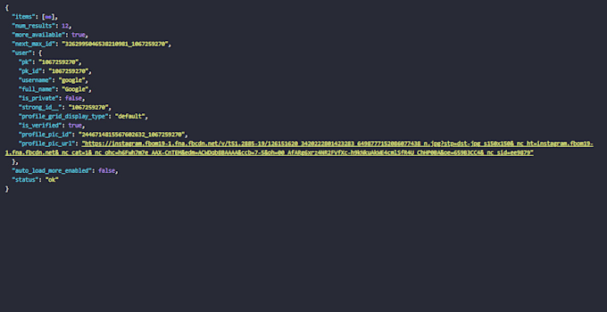 Create instagram api in any language by Thundr_11 | Fiverr
